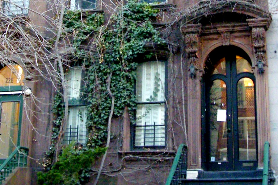 Mayor Adams Tackles Housing Crisis With A "Green Fast Track" To ...