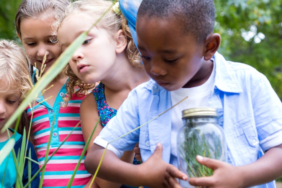 Climate Education Task Force Celebrates NYC Mayor’s Climate Literacy Plan