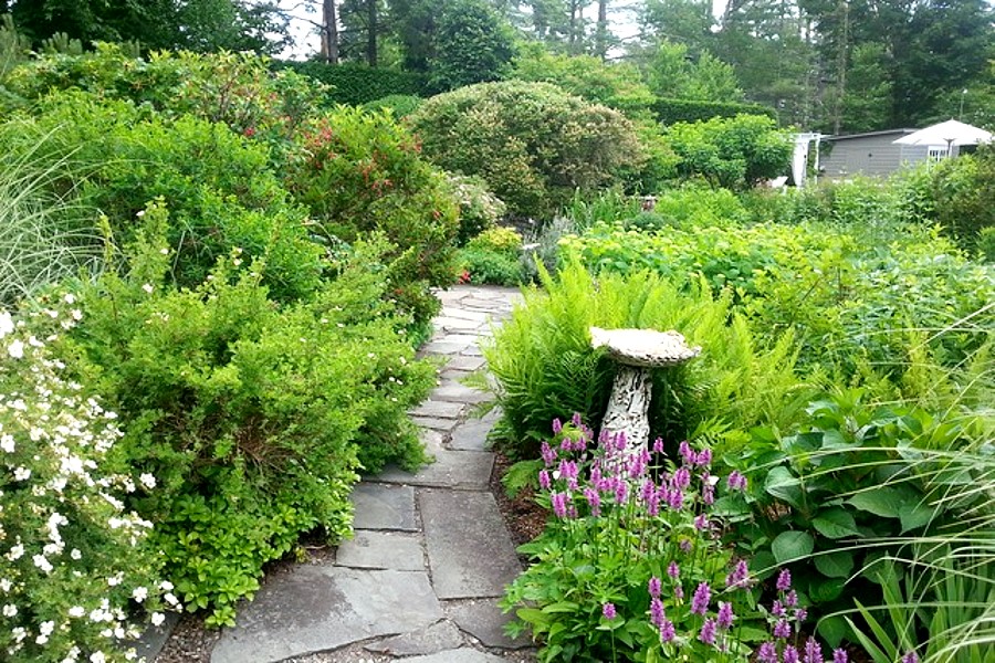 Illuminating Garden Renovation: Integrating Outdoor Lighting, Drainage ...